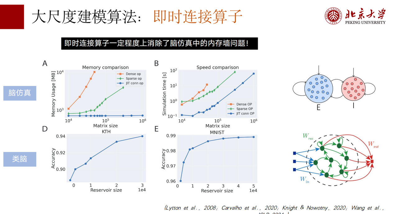 共话 AI for Science | 北京大学王超名：BrainPy，迈向数字化大脑的计算基础设施-CSDN博客