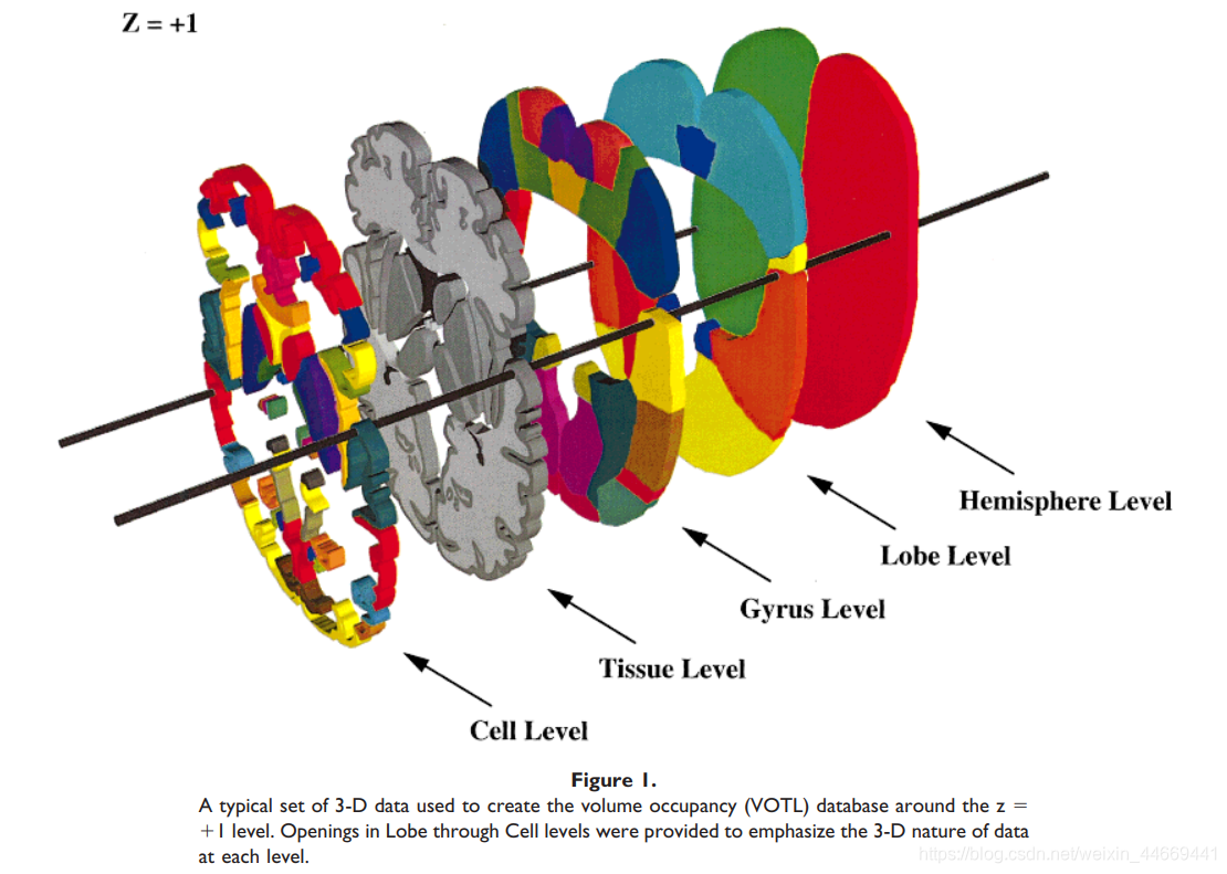xjview脑区结果怎么看-CSDN博客