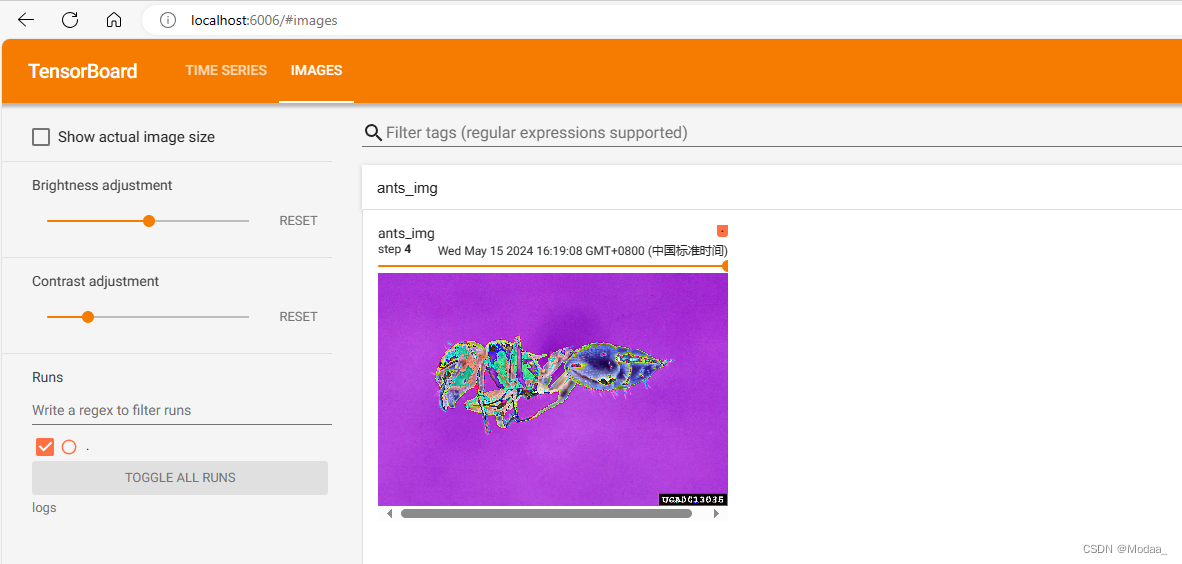 Pytorch中常见的transforms用法pytorch Transforms Csdn博客 4066