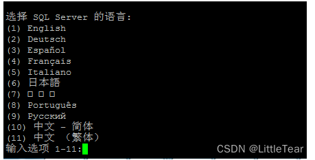 sqlServer 安装并启动agent代理（用于实时监控数据）_sqlserver agent-CSDN博客