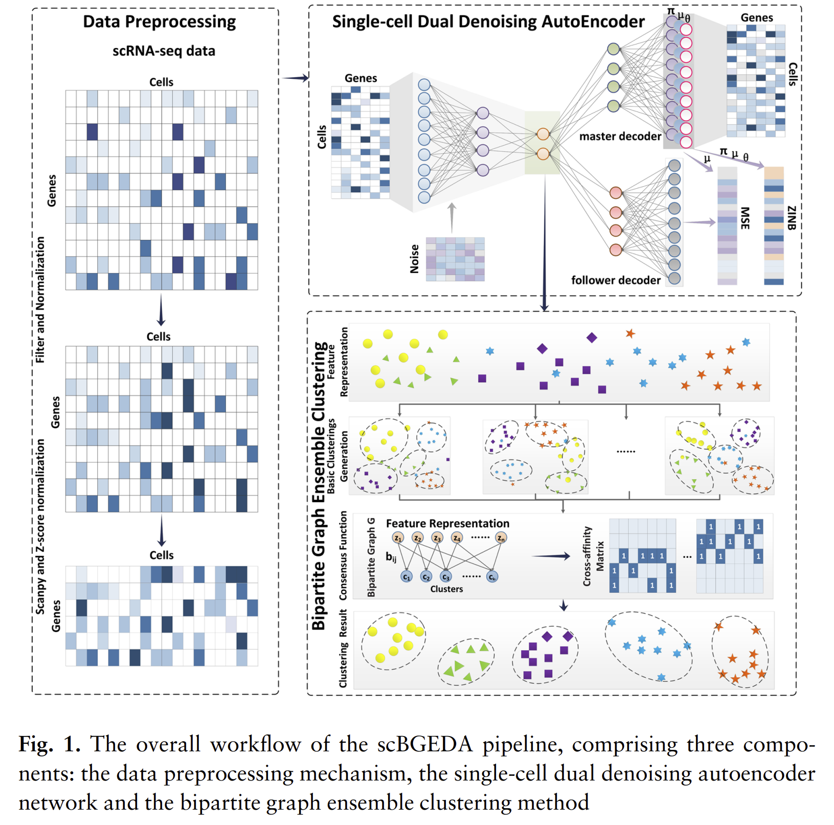 论文阅读：scBGEDA: deep single-cell clustering analysis via a dual denoising autoencoder-CSDN博客