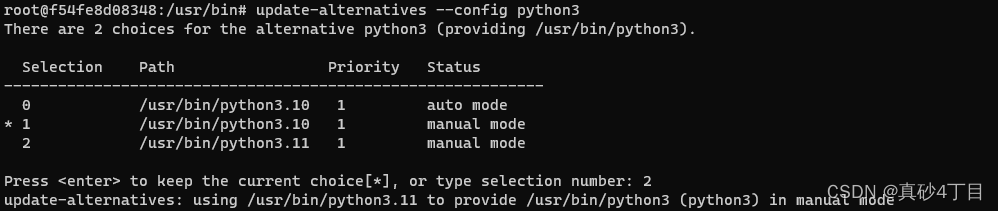 Ubuntu升级Python版本_ubuntu python升级3.10-CSDN博客