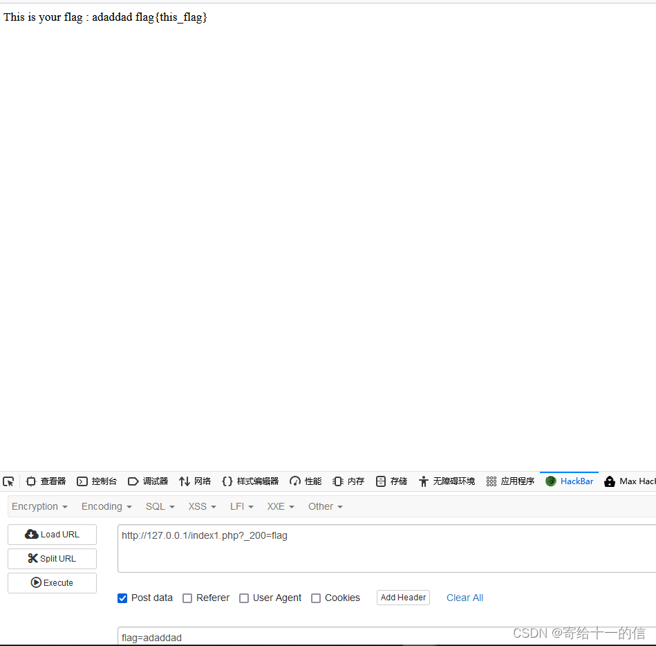 分享一些题目_php function getflag() to get flag-CSDN博客