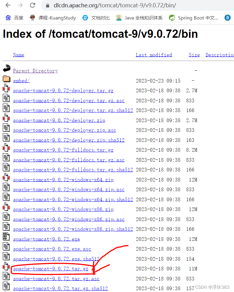 Linux安装Tomcat-CSDN博客