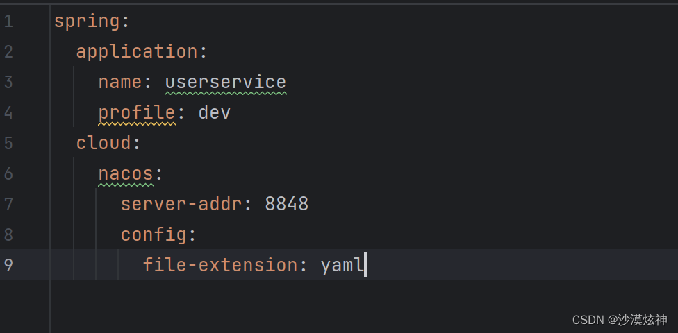 ailed to req API:/nacos/v1/ns/instance after all servers([8848]) tried: java.net.SocketException ...