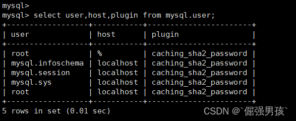 navicat连接docker中的mysql_navicat访问docker里面安装的数据库-CSDN博客