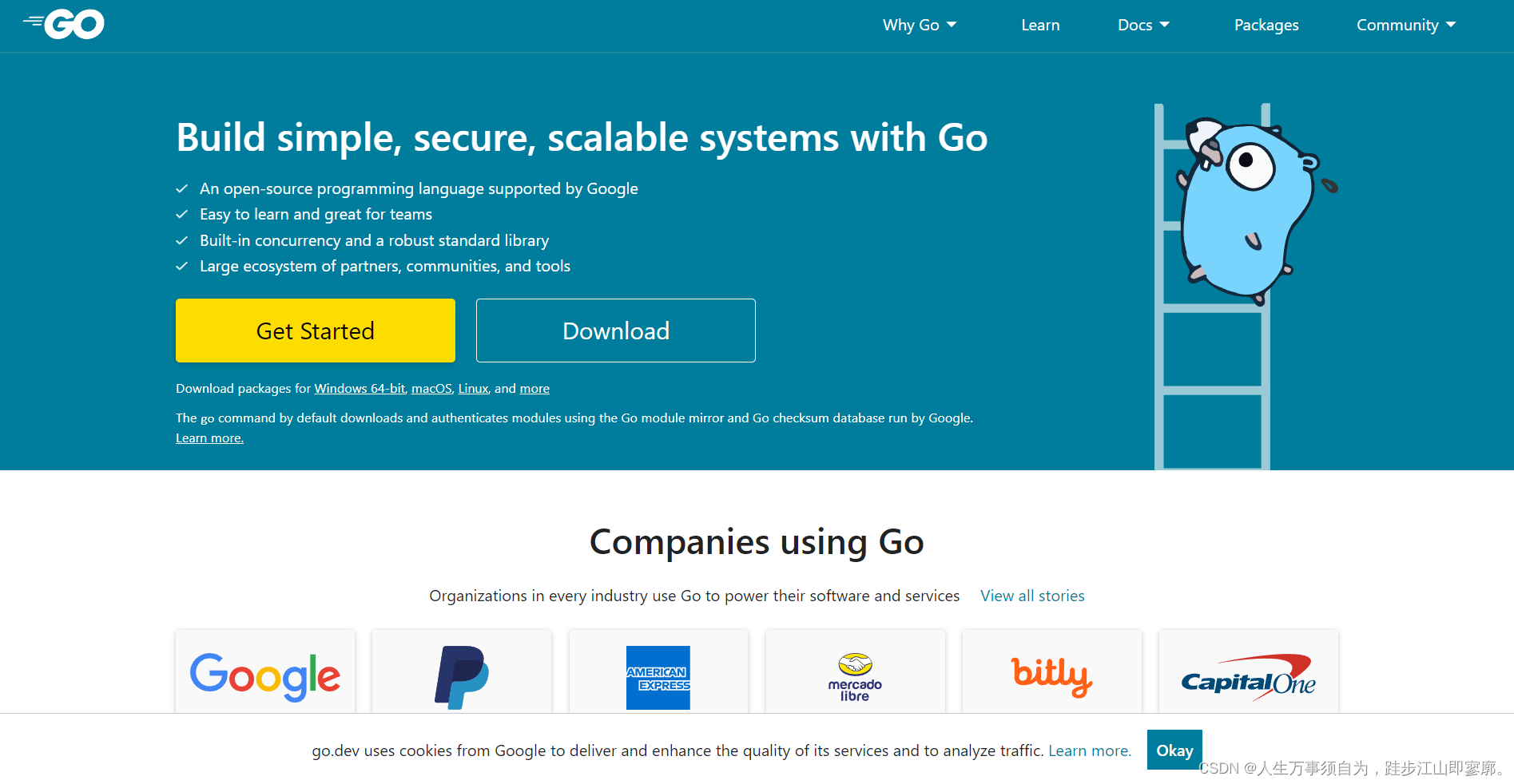 Gin 框架中前端向后端传值的几种方式介绍_gin query 传数组-CSDN博客