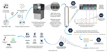 NGS测序方法及其分类详解-CSDN博客