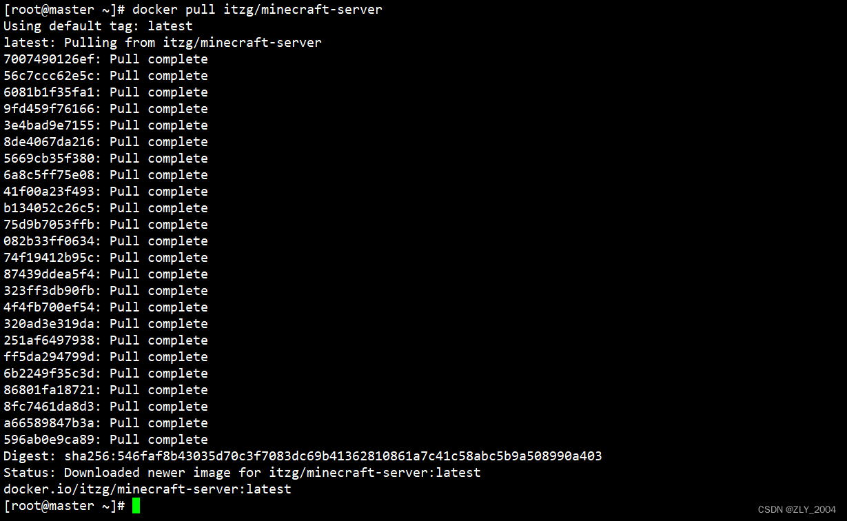 Docker 搭建原版服务器_docker mc服务器-CSDN博客