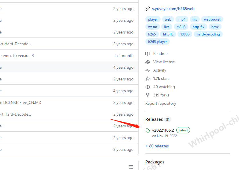 Vue.js 学习14 集成H265web.js播放器实现webpack自动化构建_h265web.js使用-CSDN博客
