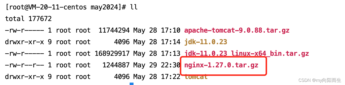 linux安装Nginx_linux安装nginx1.27-CSDN博客