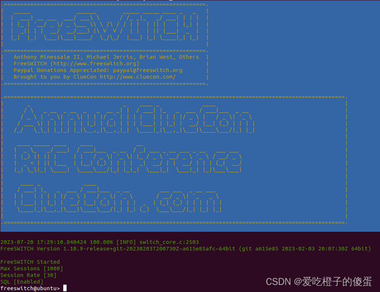 FreeSWITCH1.10.9在Linux系统上的安装编译_freeswitch 编译安装-CSDN博客