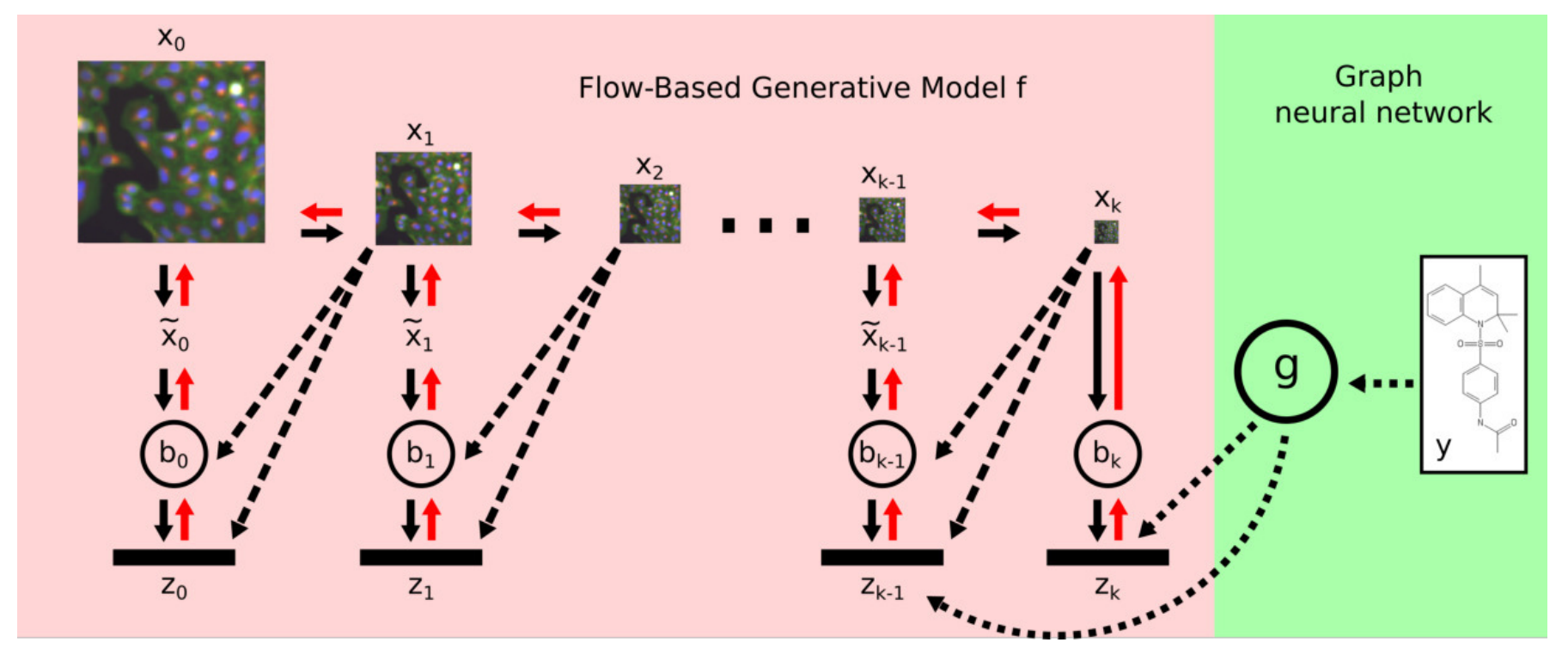 Mol2Image: Improved Conditional Flow Models for Molecule to Image Synthesis-CSDN博客