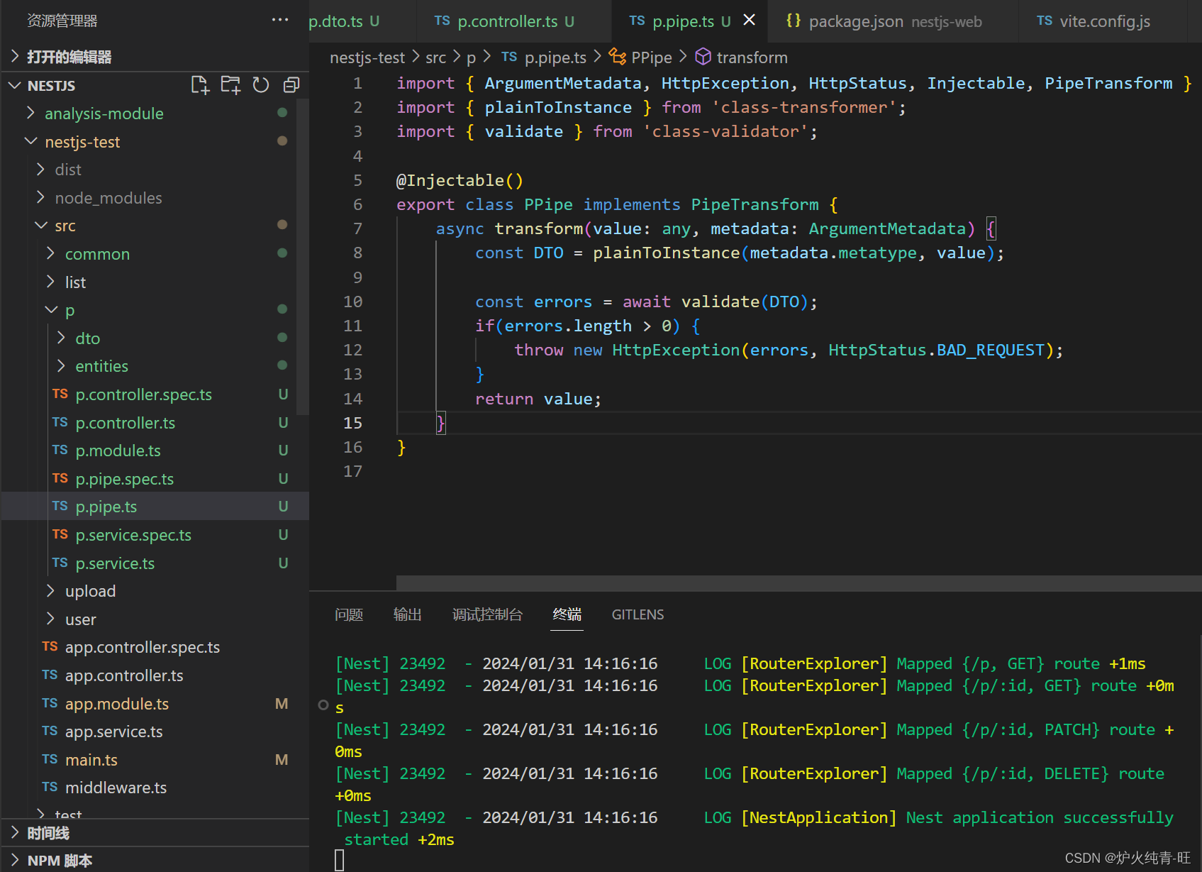 Nestjs 管道验证DTO_nestjs dto-CSDN博客