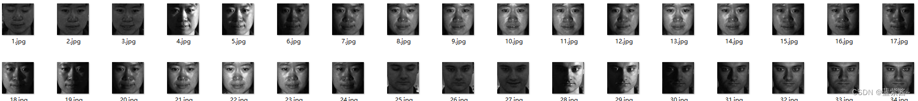 CUM-PIE dataset_cmu pie数据集读取-CSDN博客