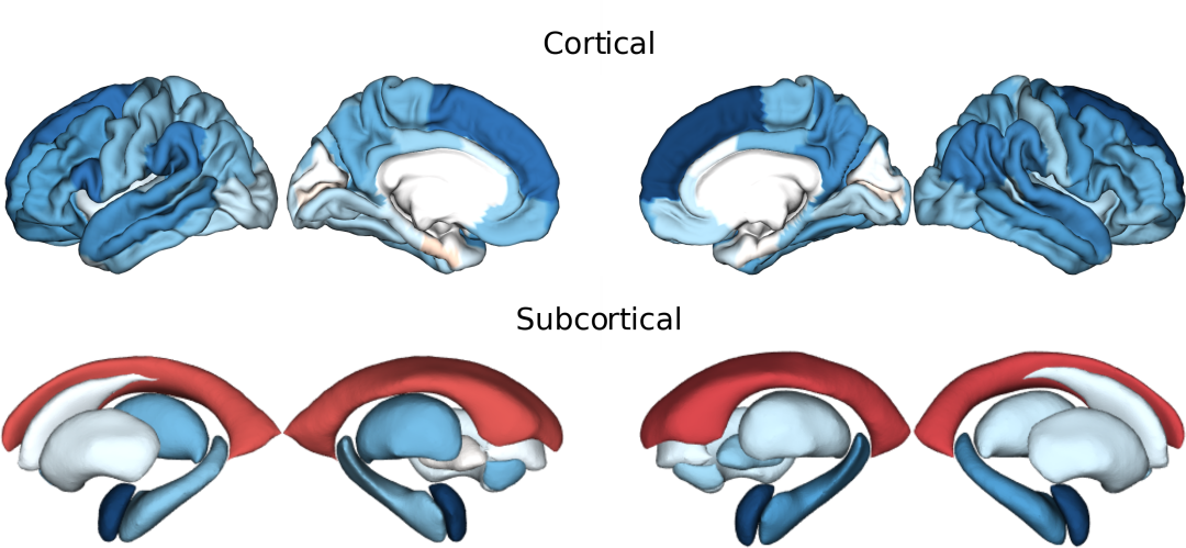 用ENIGMA-toolbox作图-CSDN博客