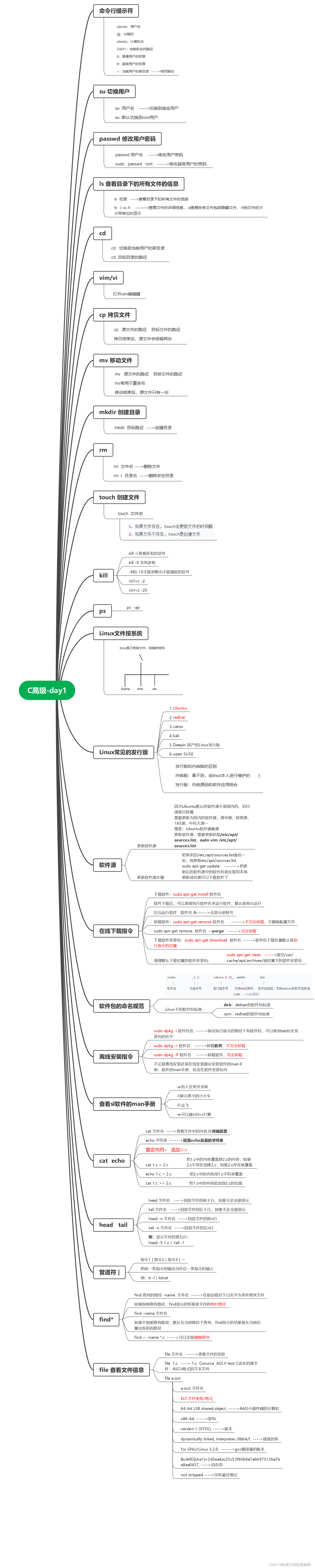 C高级--day1-CSDN博客