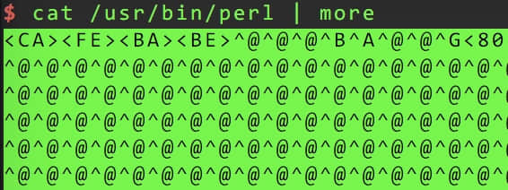 理解Mach-O文件格式(1)_mach-o 64-bit executable-CSDN博客