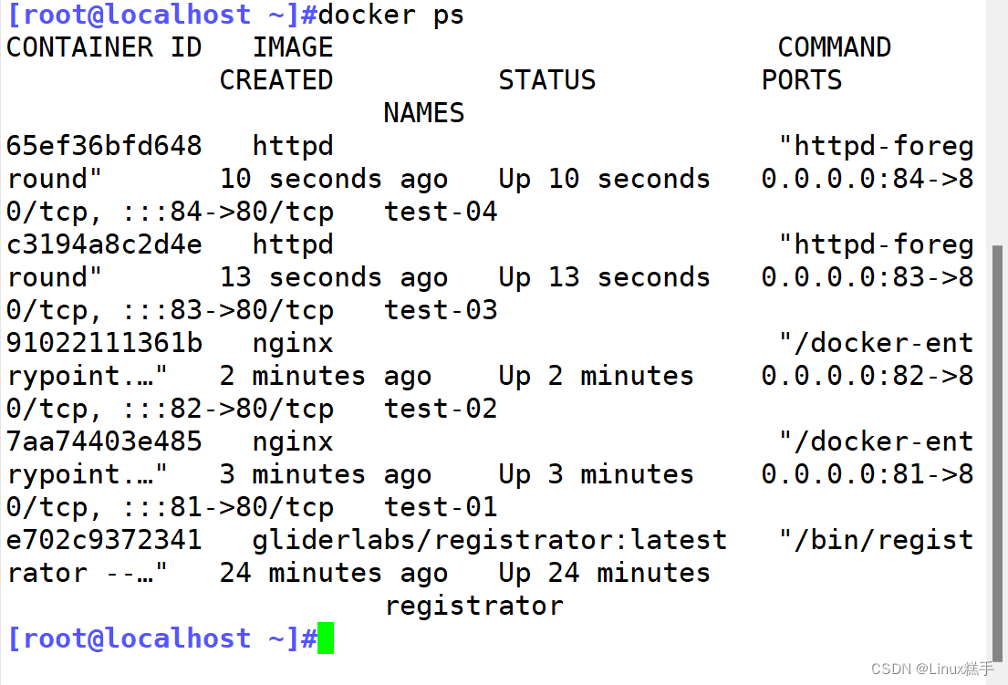 Docker-consul_docker 查看consul实例个数-CSDN博客