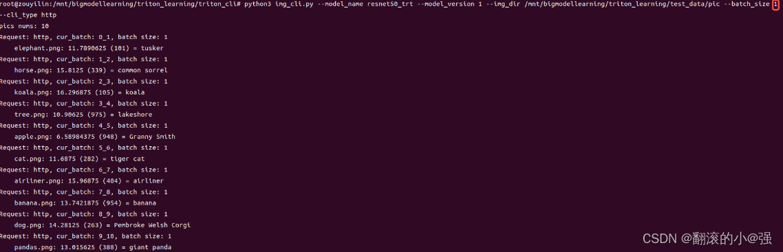 LLM推理框架Triton Inference Server学习笔记(二): Triton模型部署流程(stey by stey)_trition 部署怎么只能单张进行预测吗-CSDN博客