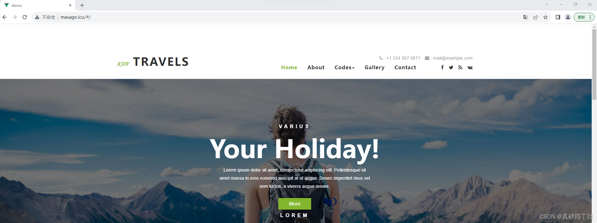 通过nginxvue实现在一台服务器上搭建多个不同域名的网站一个vue项目配置两个域名访问 Csdn博客