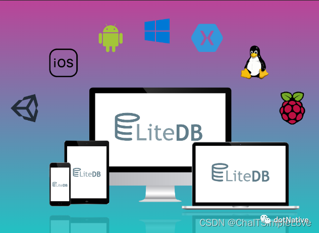 谈谈 .NET8 平台中对 LiteDB 的 CRUD 操作_litedb加密-CSDN博客