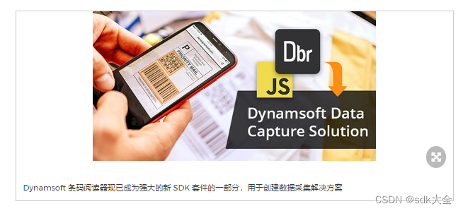 Dynamsoft 条码阅读器现已成为强大的新 SDK-CSDN博客