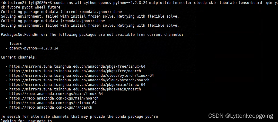 Detectron2环境配置加测试（Linux）_linux安装detectron2-CSDN博客