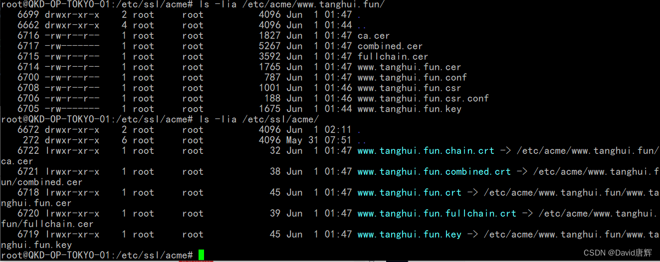 【调试笔记-20240602-Linux-在 OpenWRT-23.05 上实现自动获取 LetsEncrypt SSL 证书 ...