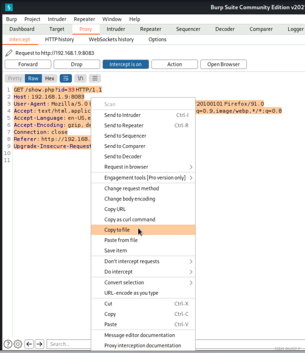 SQLMap工具与Burpsuite信息联动_burp联动sqlmap-CSDN博客