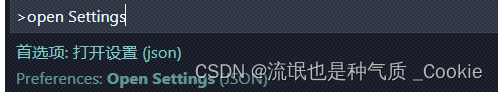 Vscode 配置setting.json及代码片段_vscode settings.json-CSDN博客
