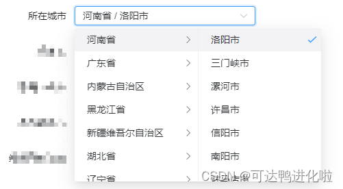 Naive-Ui 城市地区-联级选择器-CSDN博客