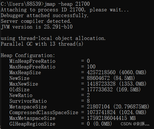 深入理解Java进程监控：jmap、jvisualvm和垃圾回收工具-CSDN博客