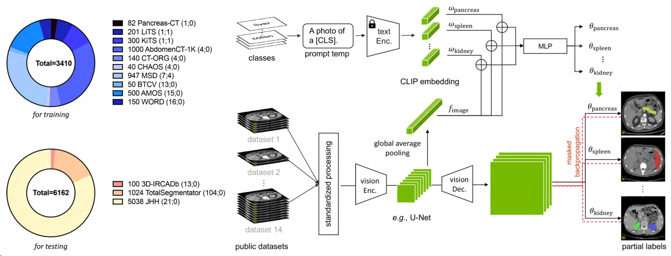 【多模态医学分割】Clip驱动的器官分割和肿瘤检测通用模型（ICCV 2023）_clip-driven universal model for organ segmentation-CSDN博客