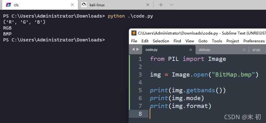 DASCTF：BitMap_你知道bitmap吗 ctf-CSDN博客