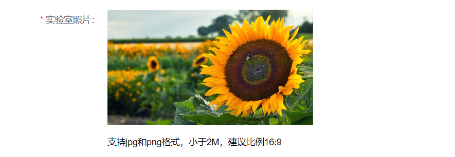 图片上传vue Filevue File Csdn博客 3746