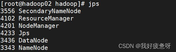 在Hadoop设置中输入jps没有出现namenode和datanode_hadoop jps没有namenode和datanode-CSDN博客
