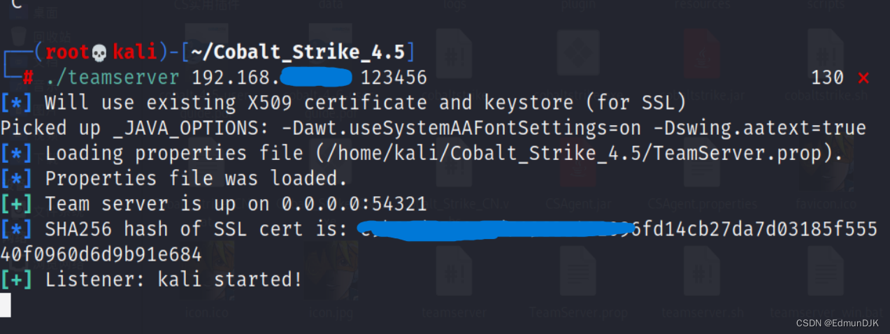 DAY41：Cobalt Strike 工具使用_cobaltstrike vnc.dll-CSDN博客