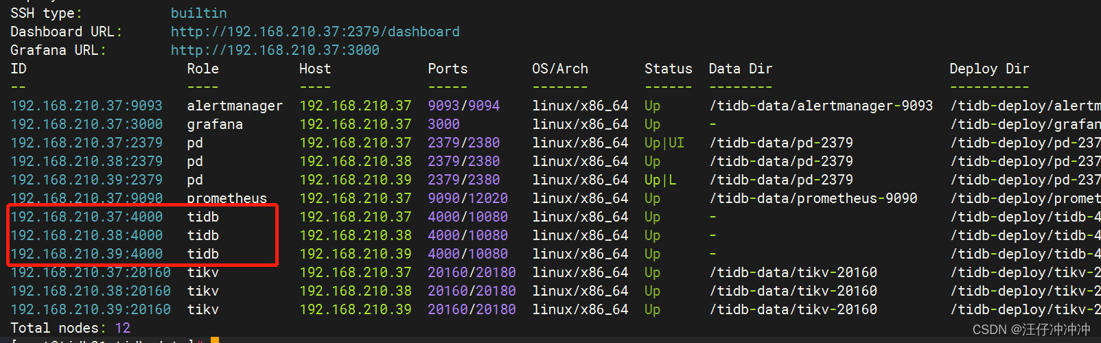 tidb连接方式（连接串）-CSDN博客
