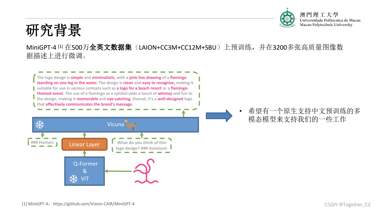 《XrayGLM：基于VisualGLM-6B微调训练对X光胸片进行医学诊断》学习分享与本地项目微调部署实践-CSDN博客