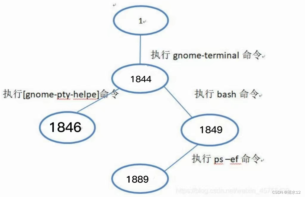 Linux 实验三 进程操作及其他命令用 Gcc Myfilec O Prog 命令编译该文 件注意系统如何反应。然后在该命令末尾加 Csdn博客