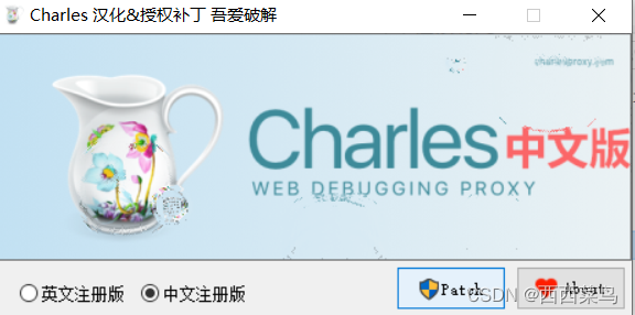 Charles网络抓包新手入门教程-(一)软件配置与环境安装（Win10-Windows系统安装&配置）_charles windows抓包教程-CSDN博客