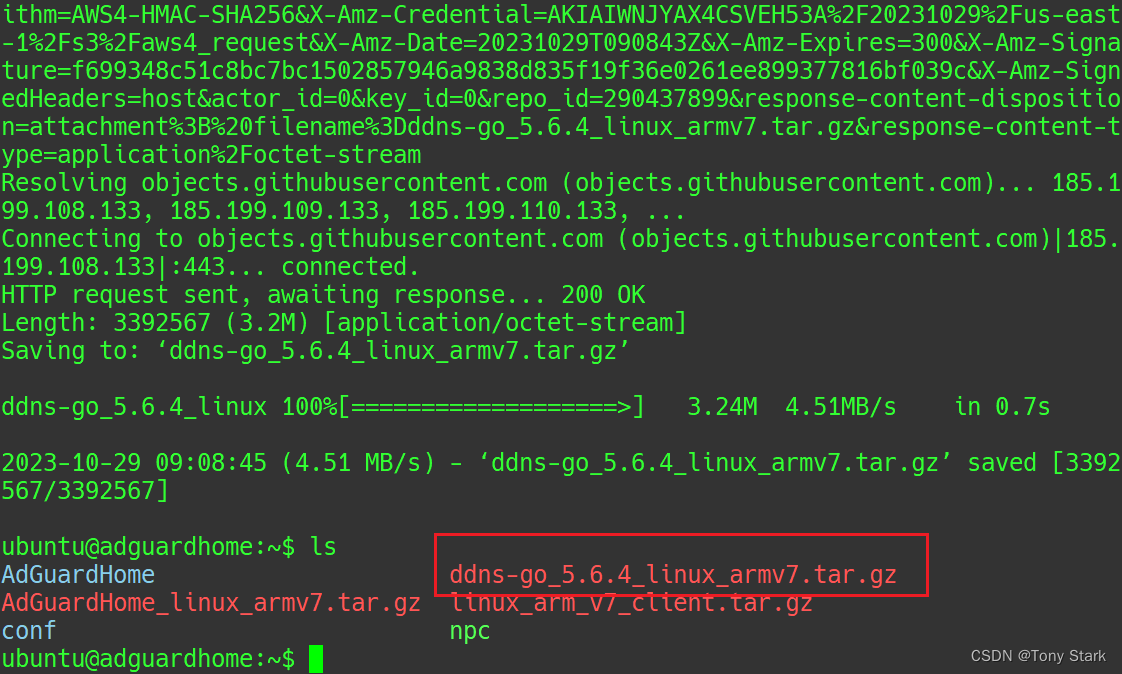 Ubuntu安装ddns-go使用阿里ddns解析ipv6-CSDN博客