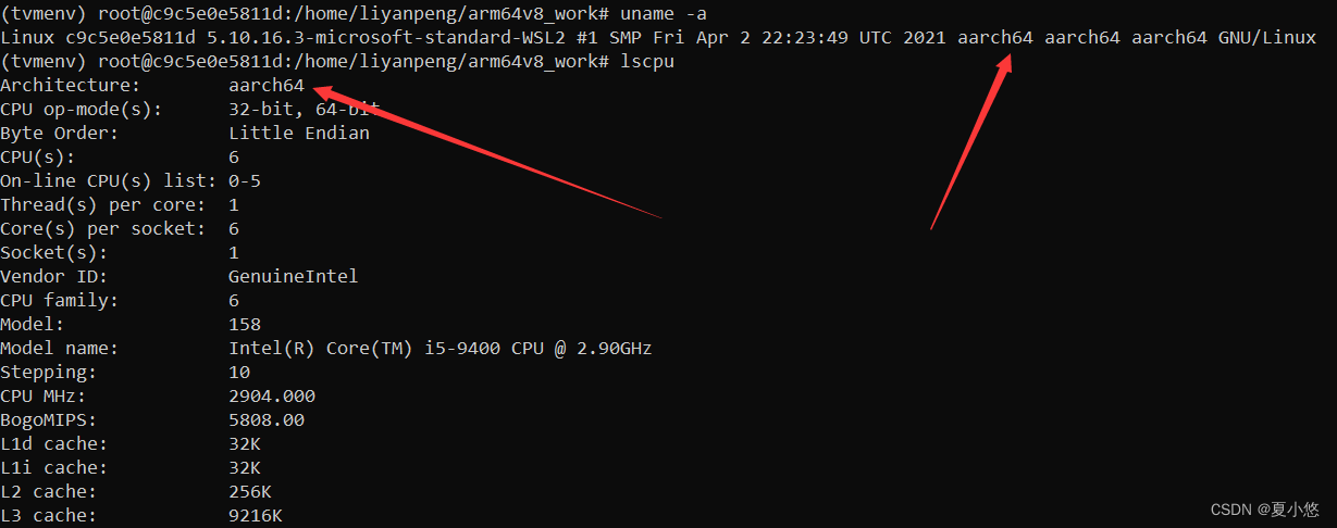 在x86的Docker中构建TVM的ARM环境_模拟器x86改arm-CSDN博客