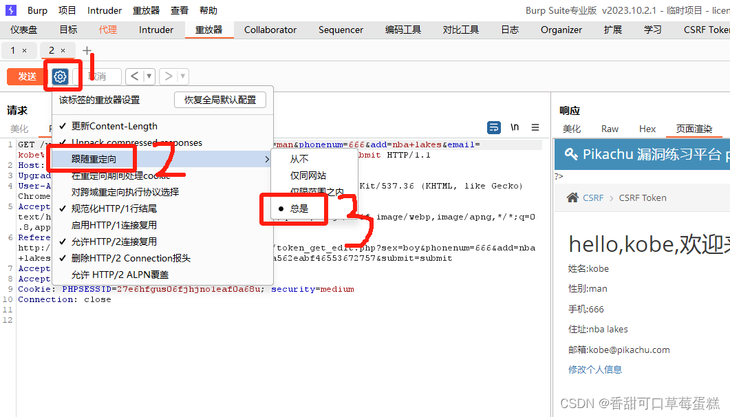 Pikachu 靶场 CSRF 通关解析_pikachu csrf通过-CSDN博客