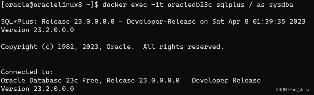 Docker 运行 Oracle Database Free Release 23c (23.2.0.0)_oracle database 23c docker-CSDN博客