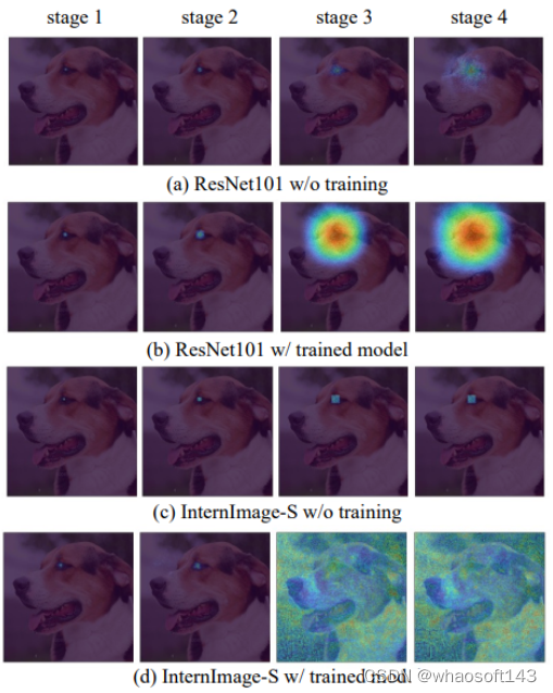 InternImage-CSDN博客