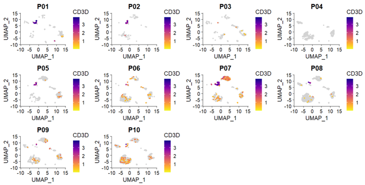 2023-11-28-直播单细胞图表美化-seurat数据结构 featureplot dotplot vlnplot_nebulosa如何分组-CSDN博客