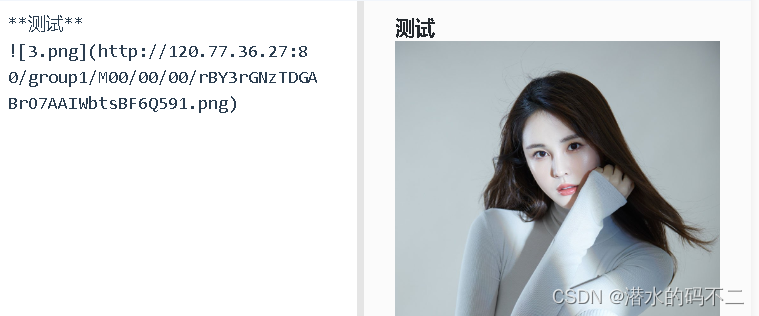 Vue 中使用markdown编辑器vue2使用markdown It Csdn博客