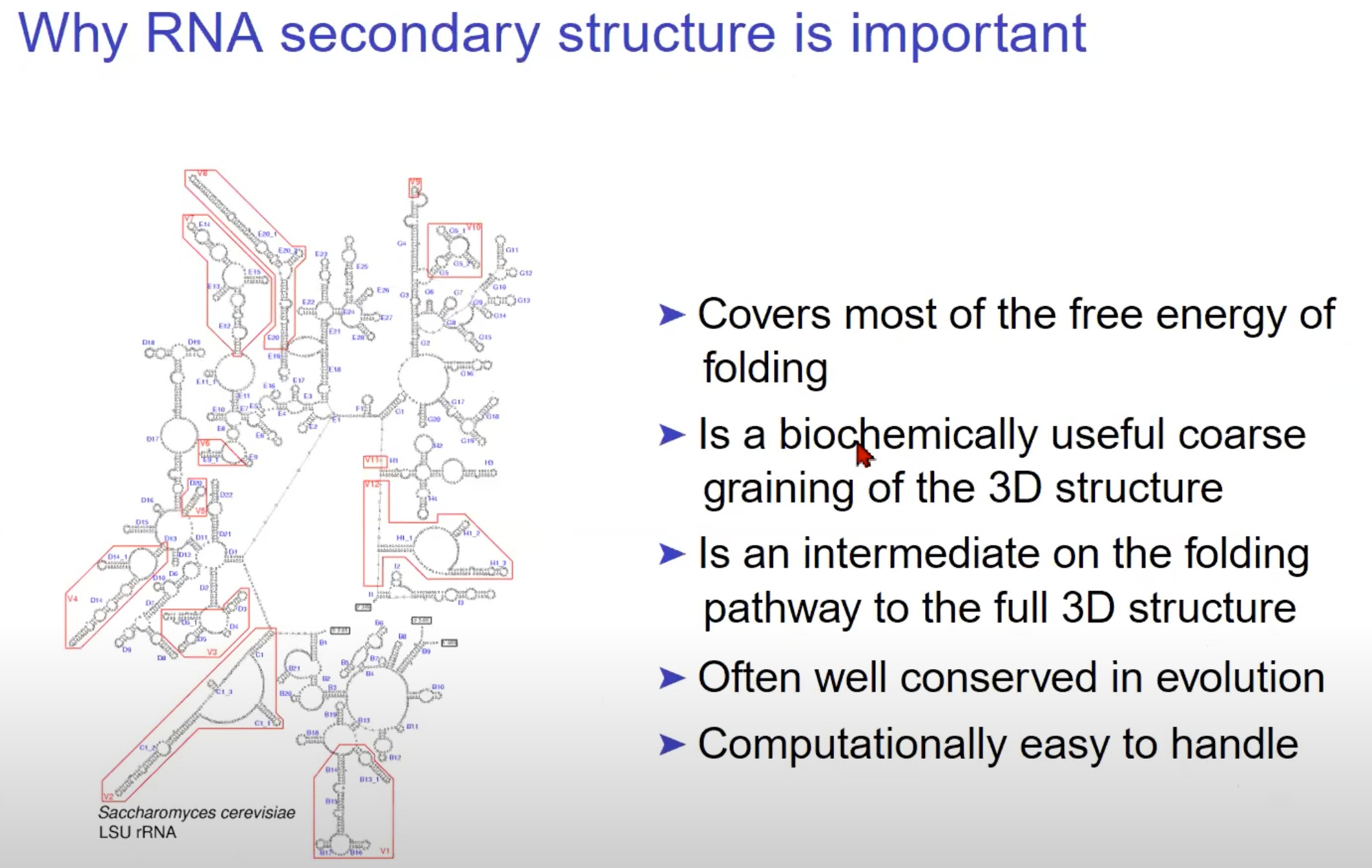 【RNA folding】RNA折叠算法与生物物理约束_rnafold-CSDN博客